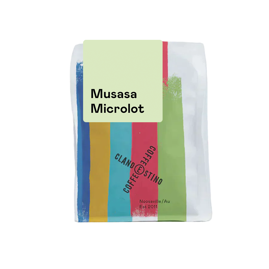 Musasa - Rwanda - Clandestino Coffee